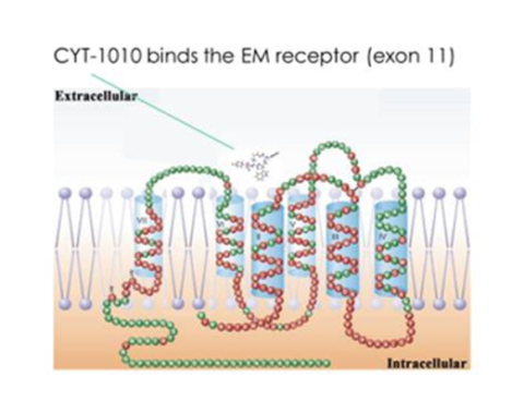 Novel Mechanism of Action - Cytogel Pharma